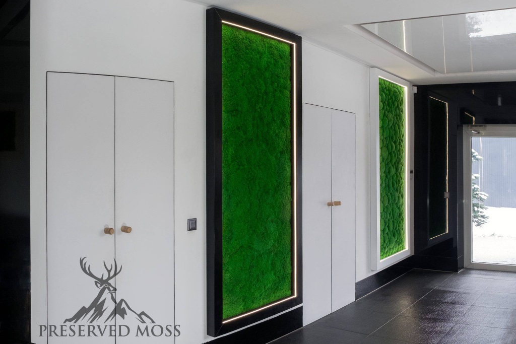 Moss Walls & Moss Wall Panels UK - Bespoke Top Quality Moss Walls ...